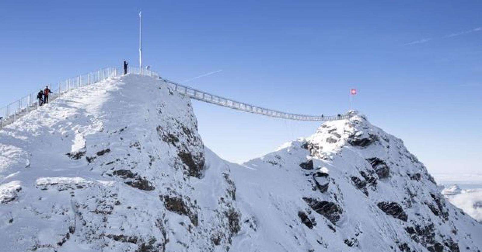 In beeld: de meest spectaculaire hangbruggen voor voetgangers