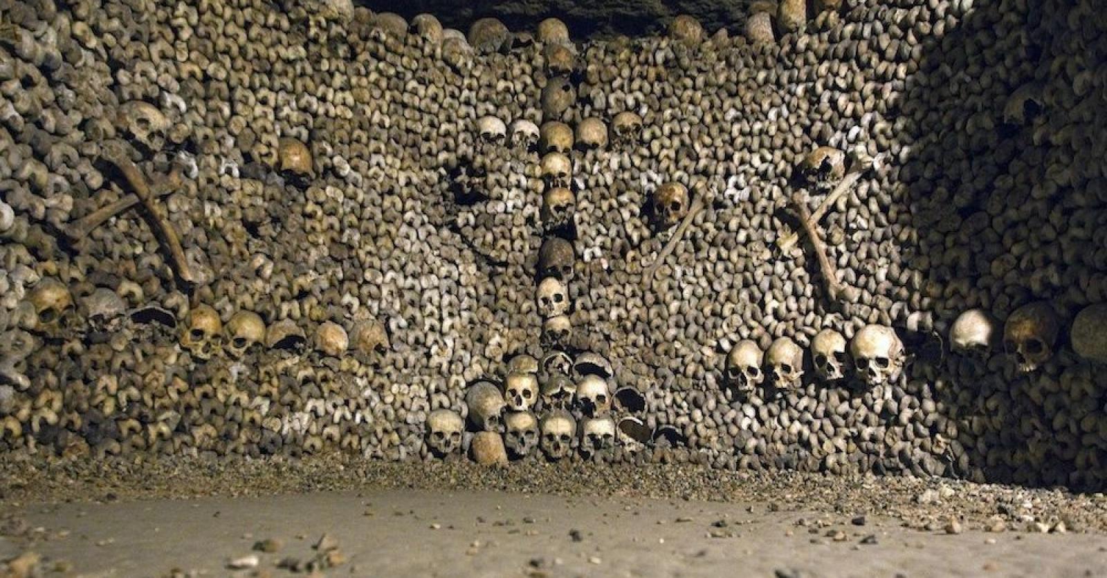 In beeld: gebouwen gemaakt van botten