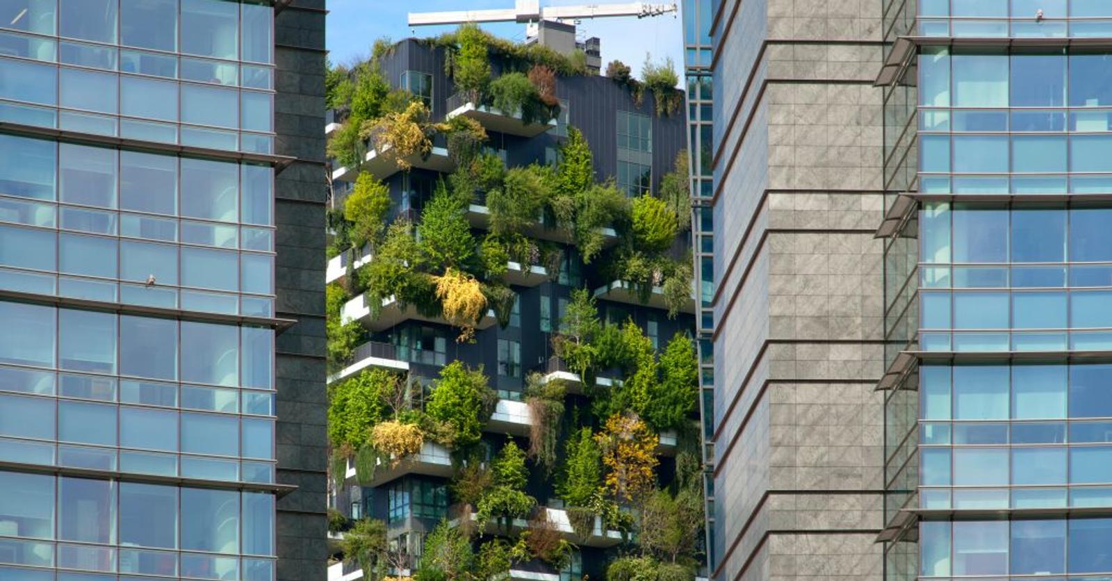 Wonen in de stadsbomen: moderne groene architectuur in beeld