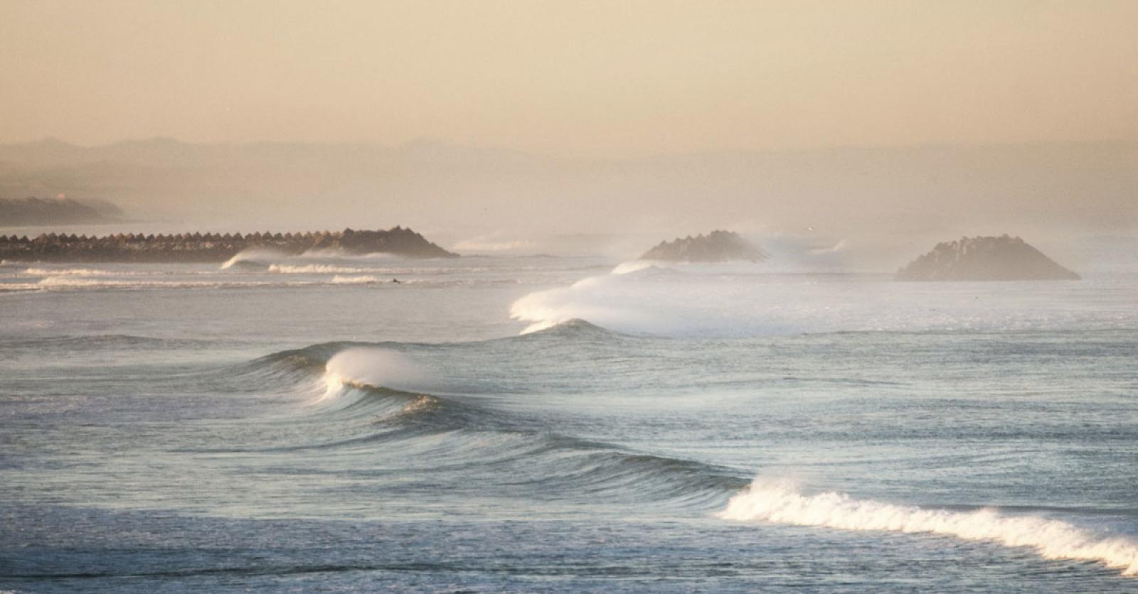 Van moesson tot mistral: waarom wind ons wonderen doet