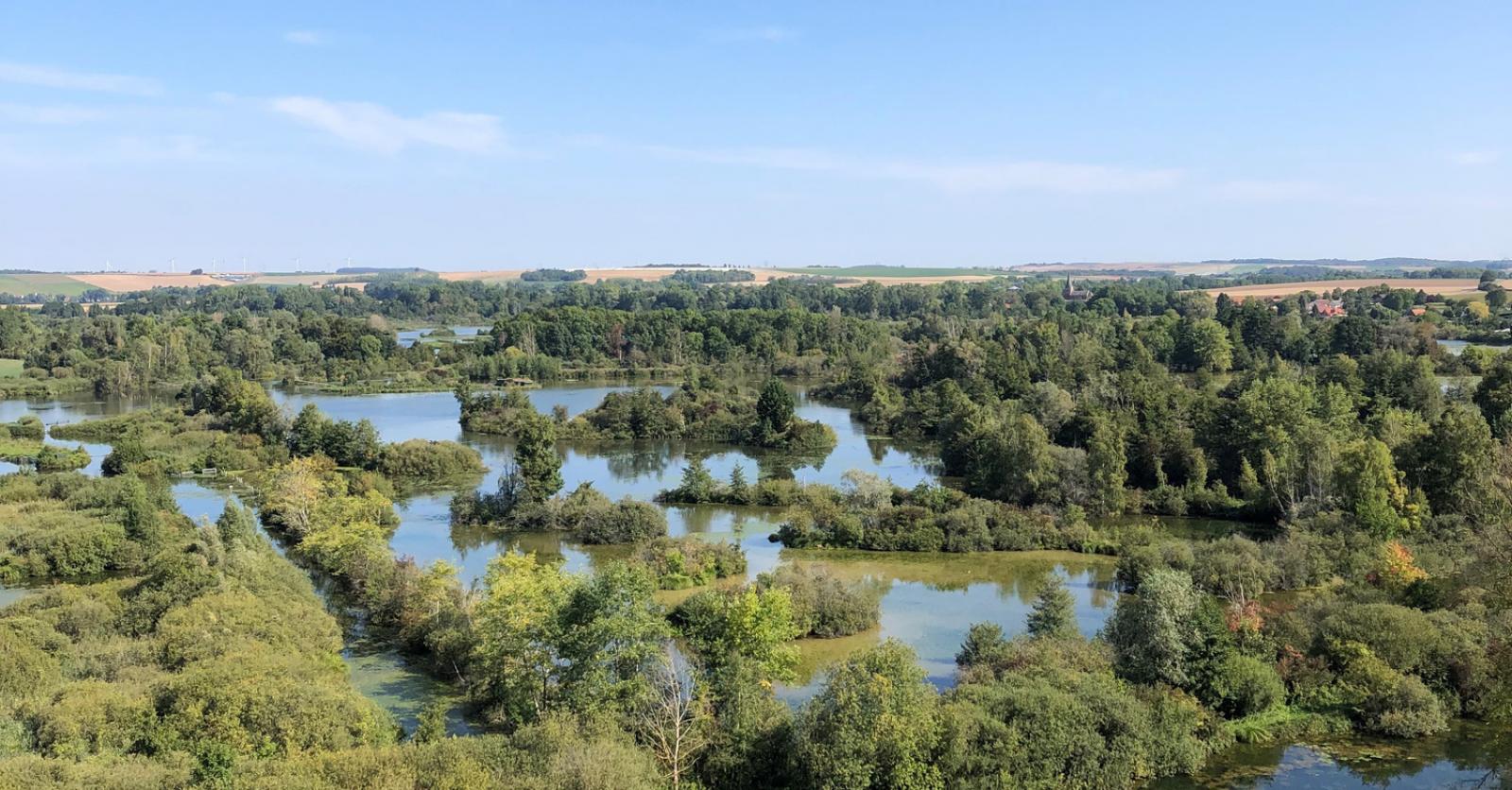 Cinq coups de coeur à découvrir dans le Santerre Haute Somme