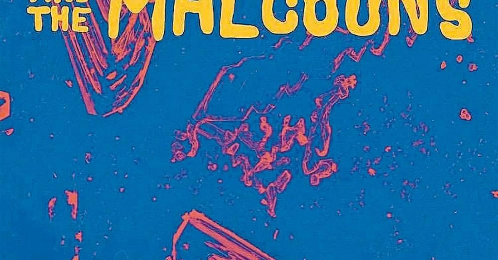 Karl Hector and The Malcouns