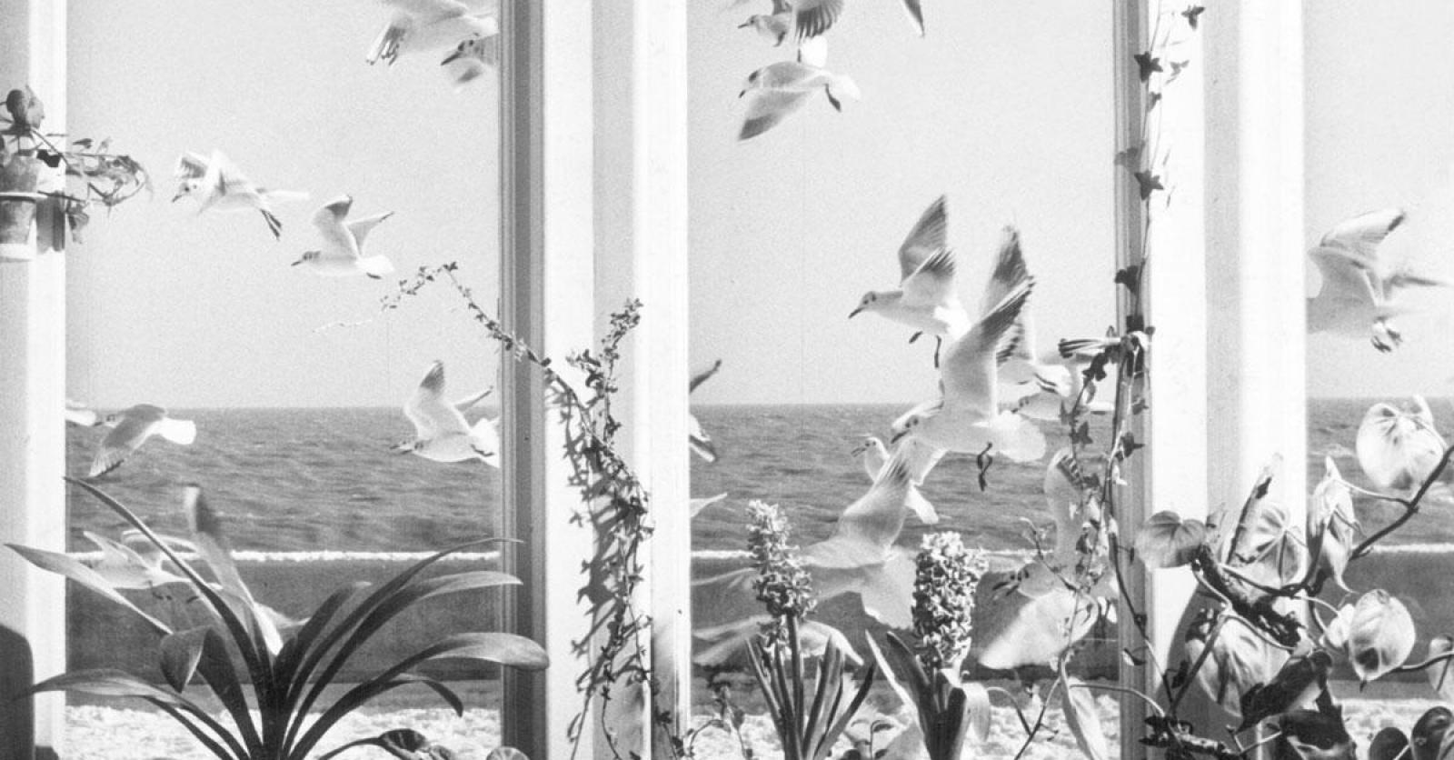 Andy Stott