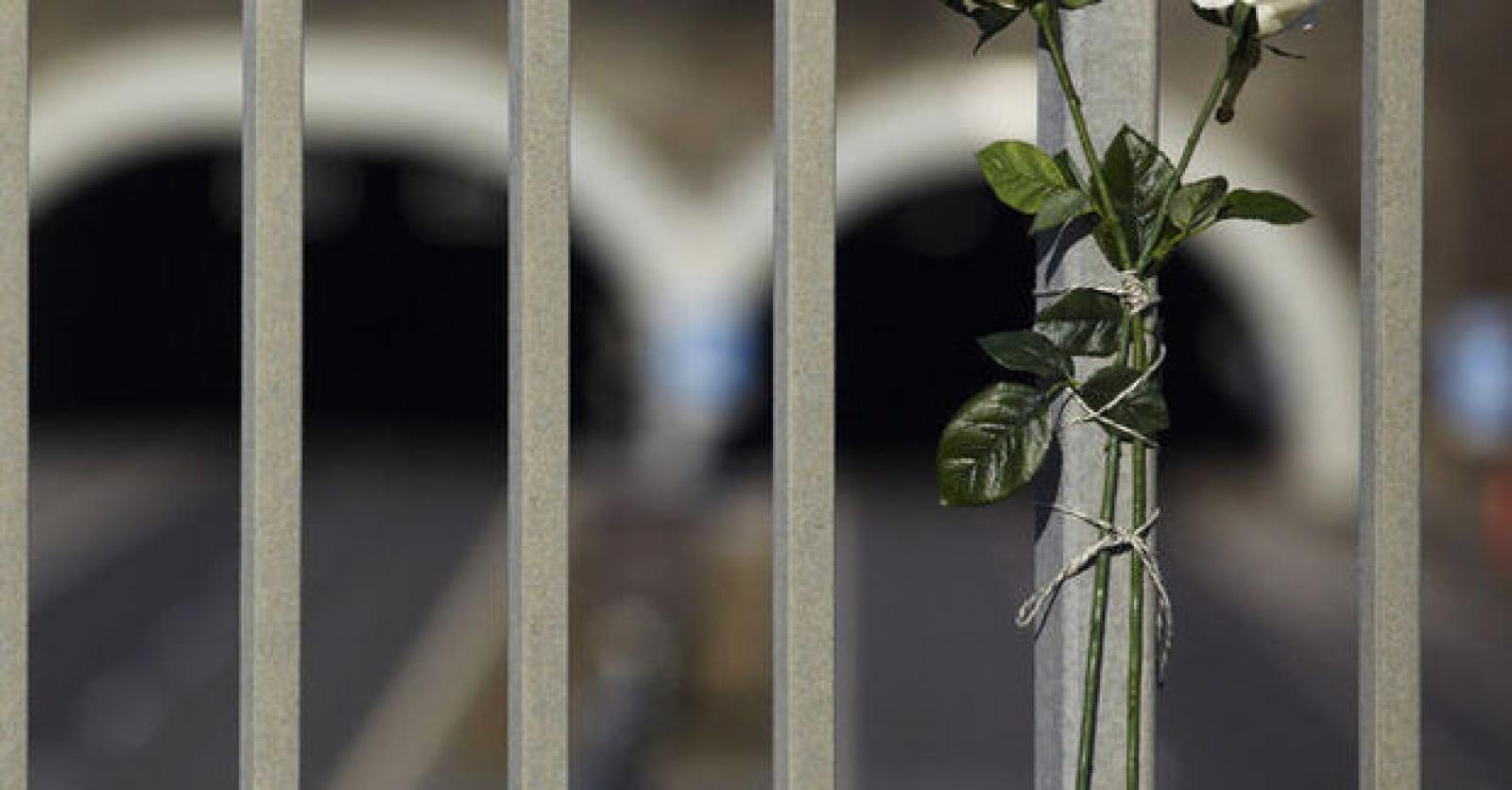 'Foto's dode kinderen zware journalistieke fout'