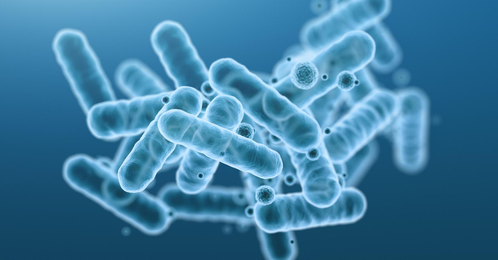 'Slapende' bacteriën kunnen resistentie tegen antibiotica tegengaan