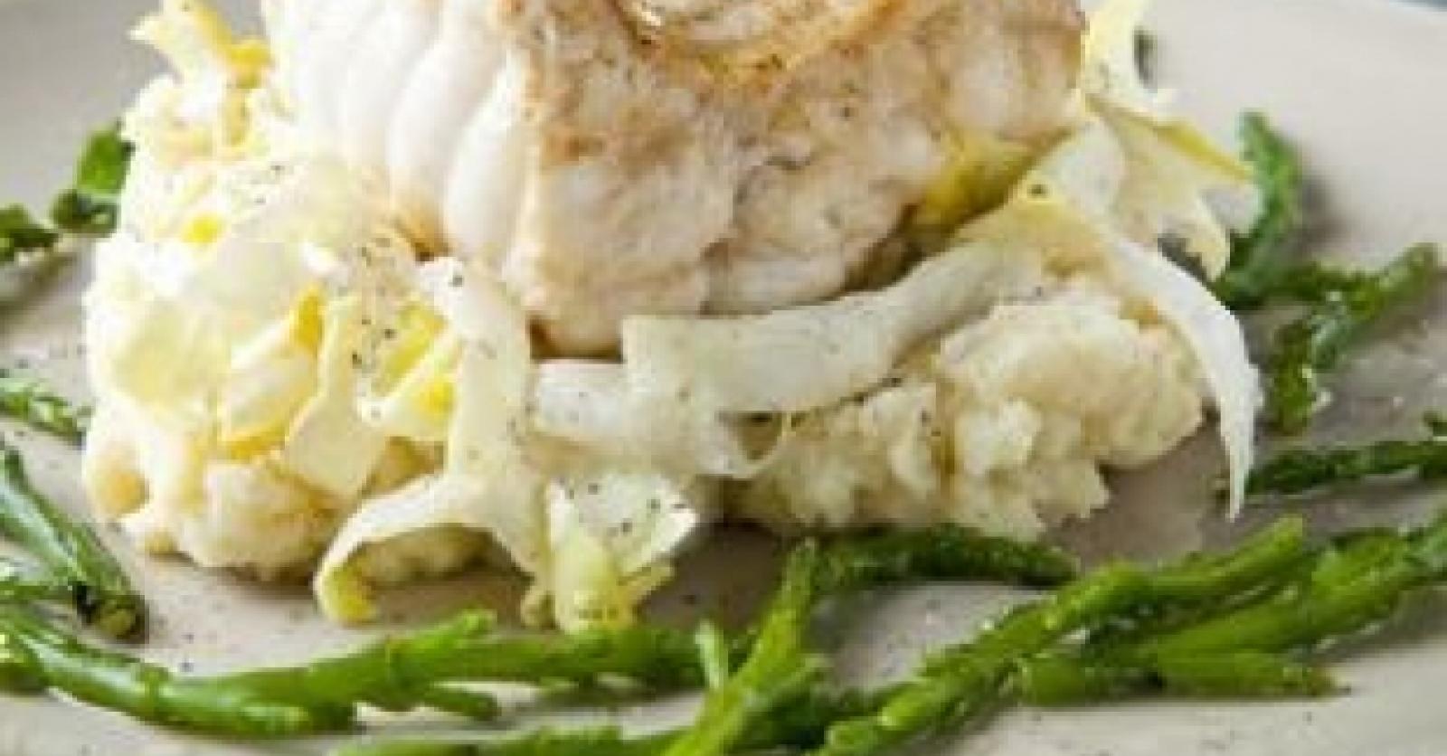 Gebakken zeewolf met witloofsla en geblancheerde zeekraal