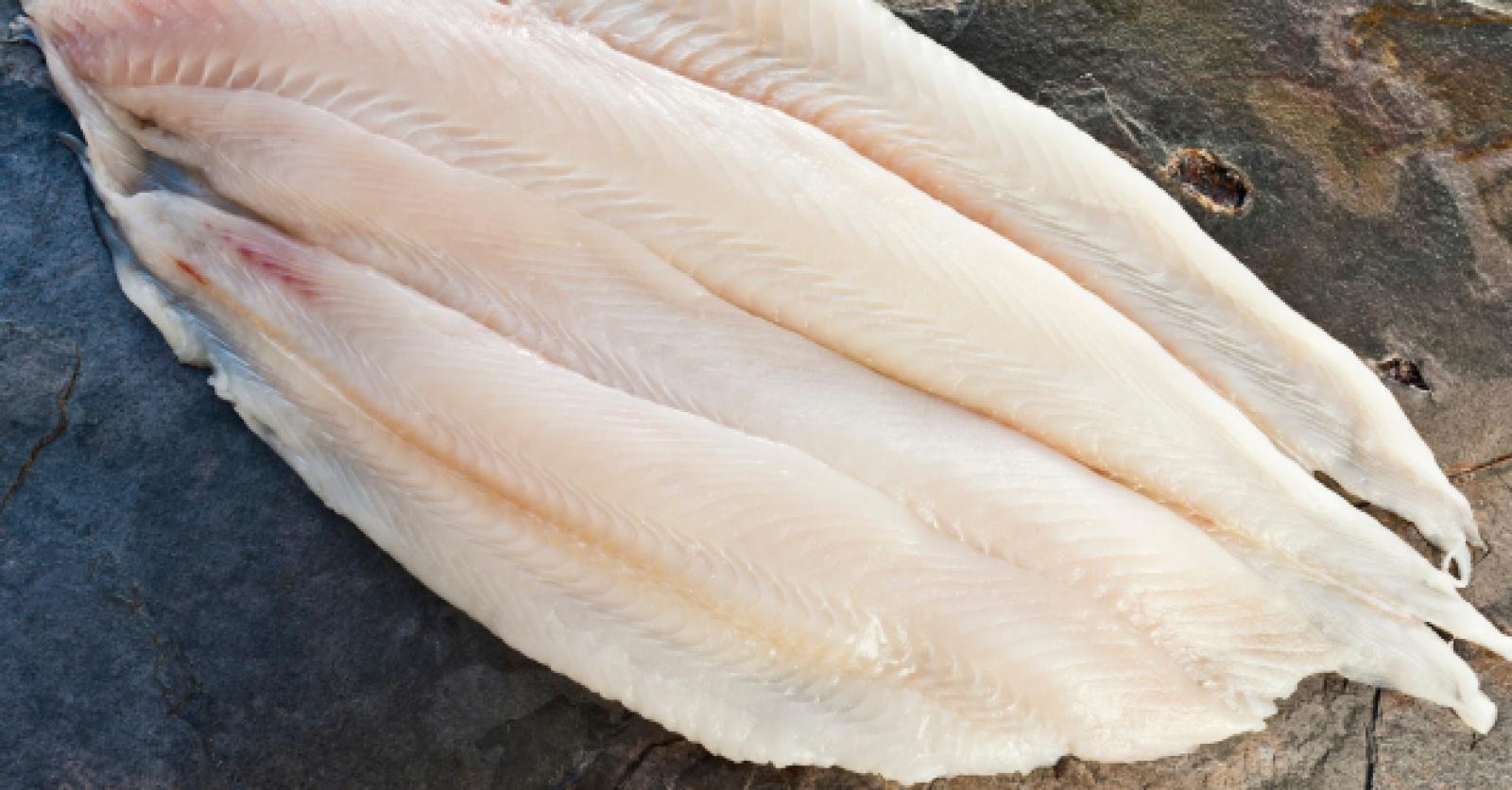 Zeetong met kreeft in Nantuasaus