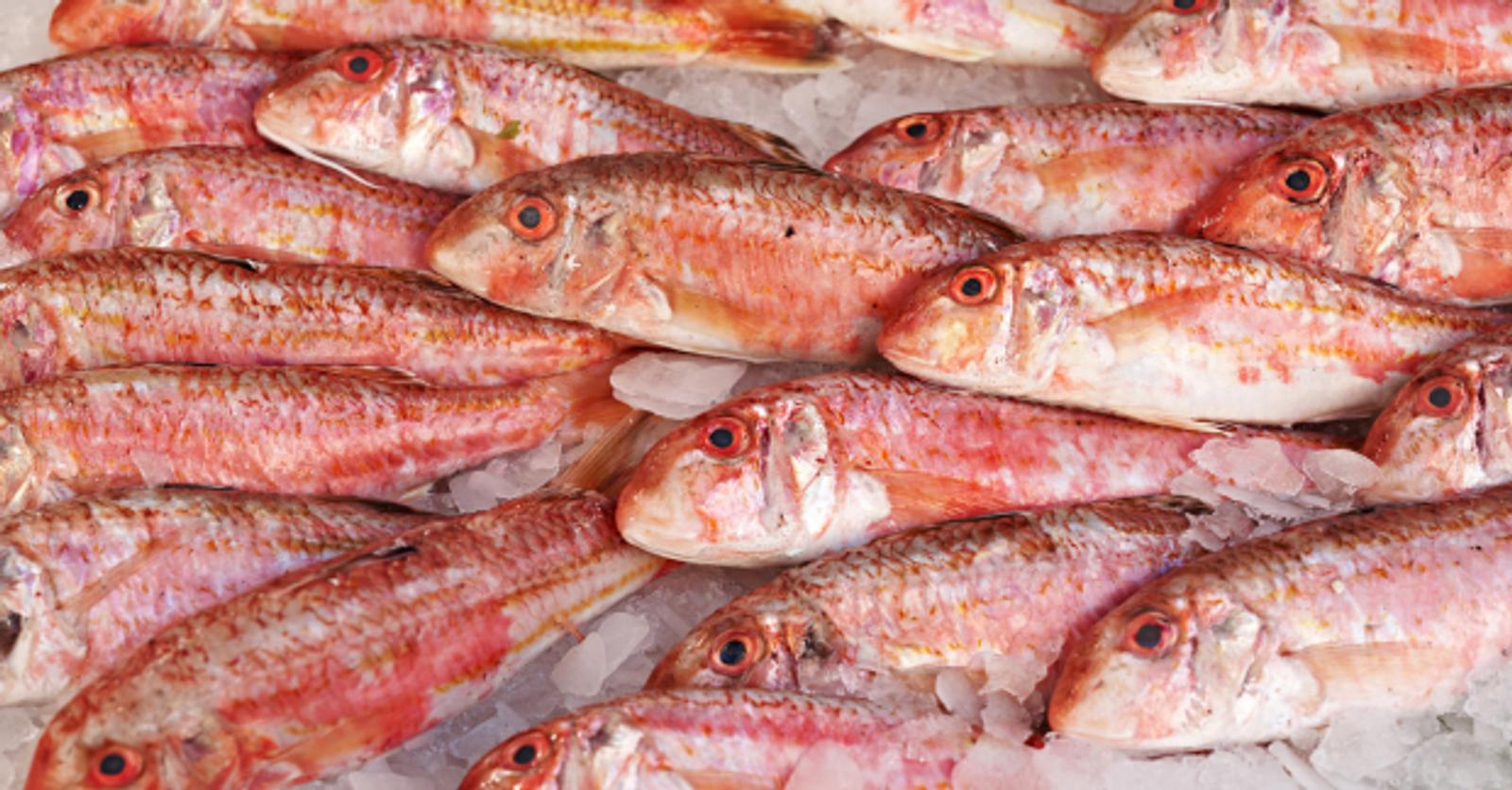 Gestreepte zeebarbeel met tandoorikruiden