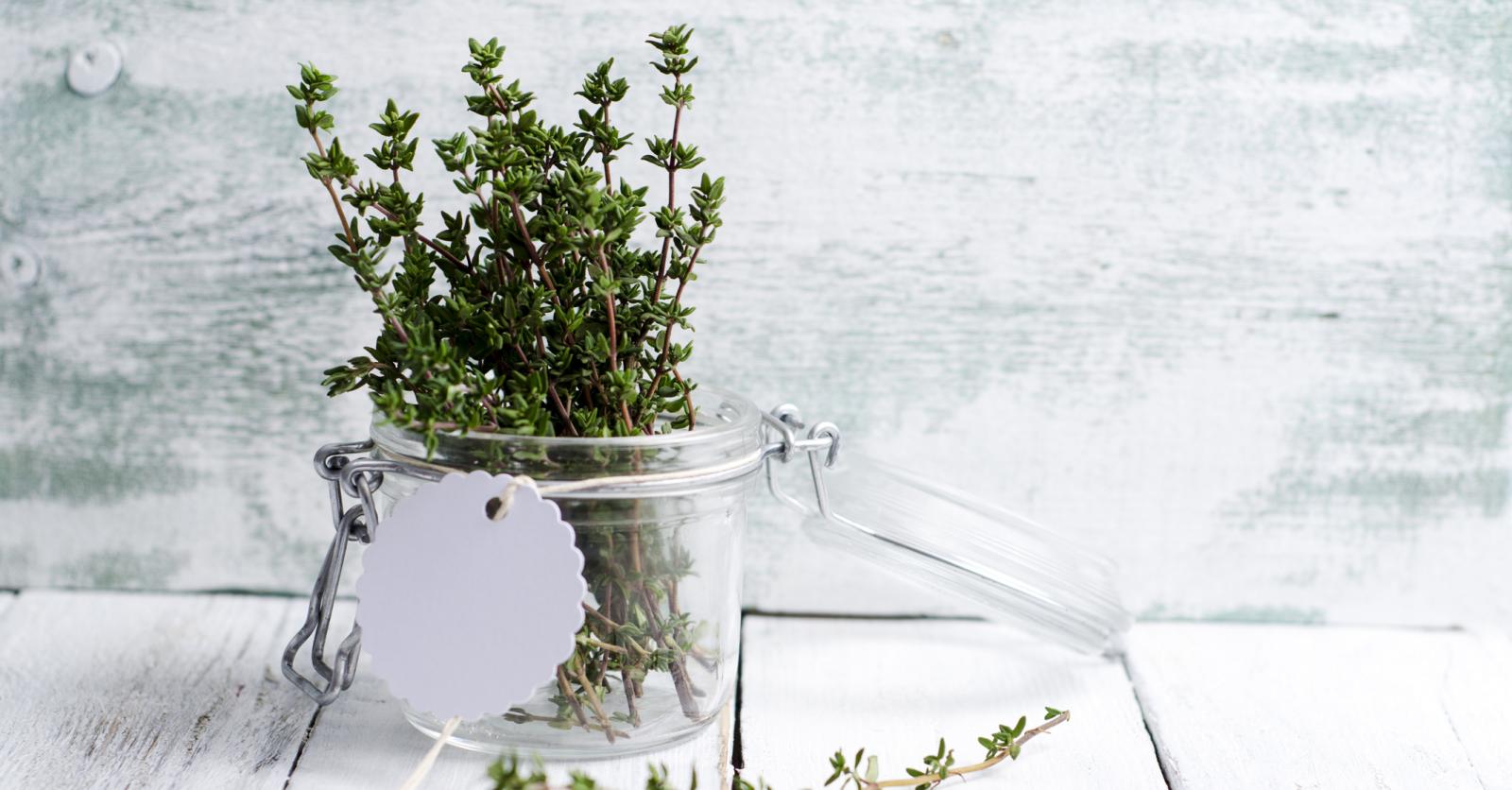 Zelf tijmsiroop maken: zo doe je dat! - Libelle