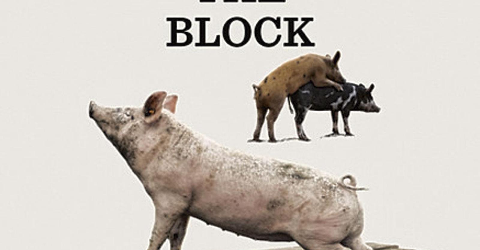 New Pigs on the Block