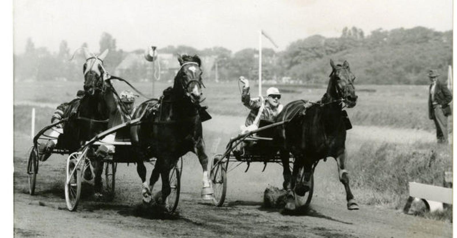 Andere Tijden: Gewed op het verkeerde paard