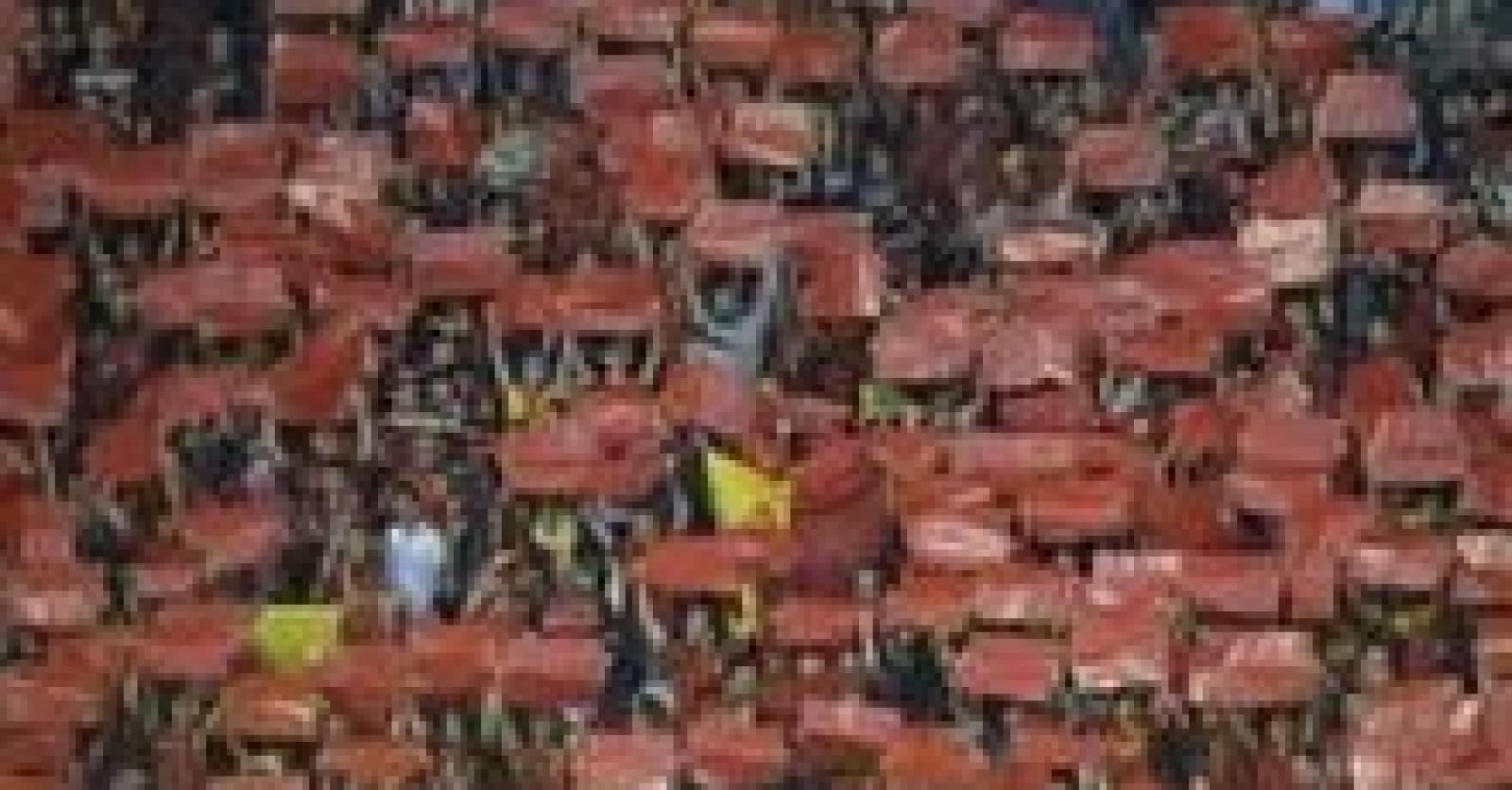 Mondial-2014 - Le fan club des Diables Rouges 1895 acceptera de ...