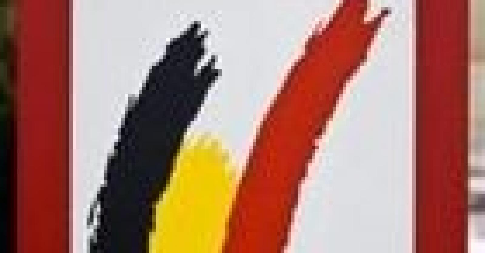 Le logo du COIB va changer et le nom des élites olympiques aussi