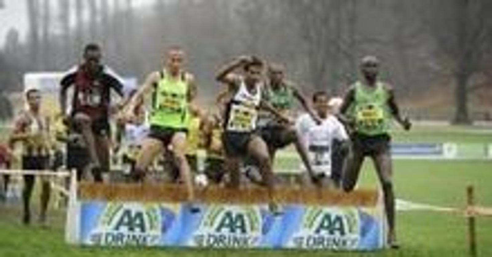 Lotto Cross-Cup - 6.000 participants attendus à l'Iris Cup de Bruxelles