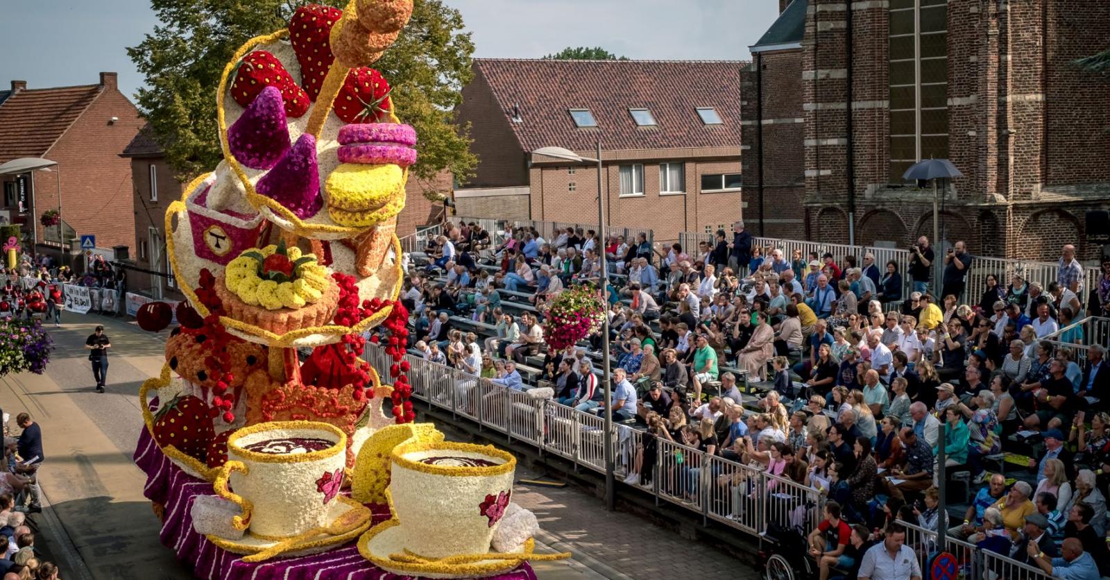 Bewonder miljoenen dahlia's tijdens de Bloemencorso in Loenhout - Libelle