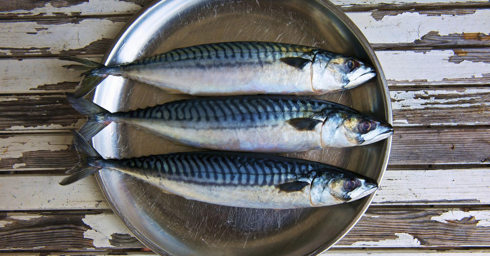 Waar kunnen we nog omega 3 vinden behalve in vis?