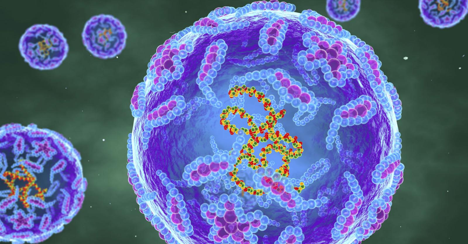 Poliovirus in het rioolwater? ‘Mogelijk ook in België gevallen van polio’