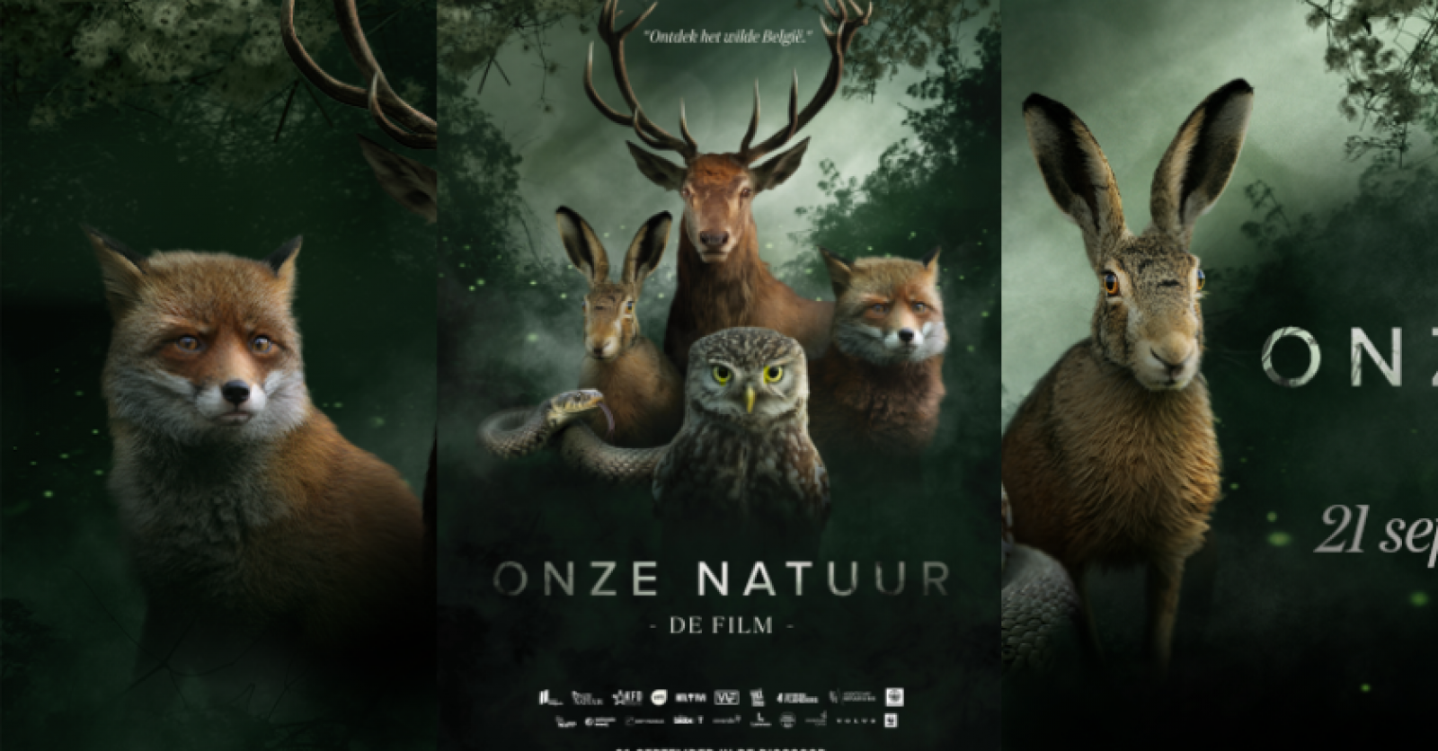 'Onze Natuur': prachtige natuurfilm uit eigen land nu in de bioscoop ...