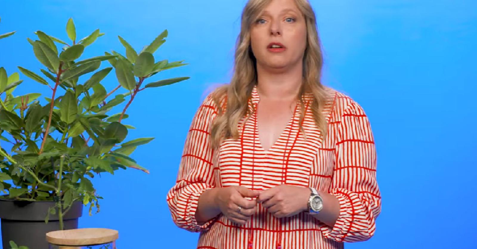 WetenSnap: Wat is een exoot?