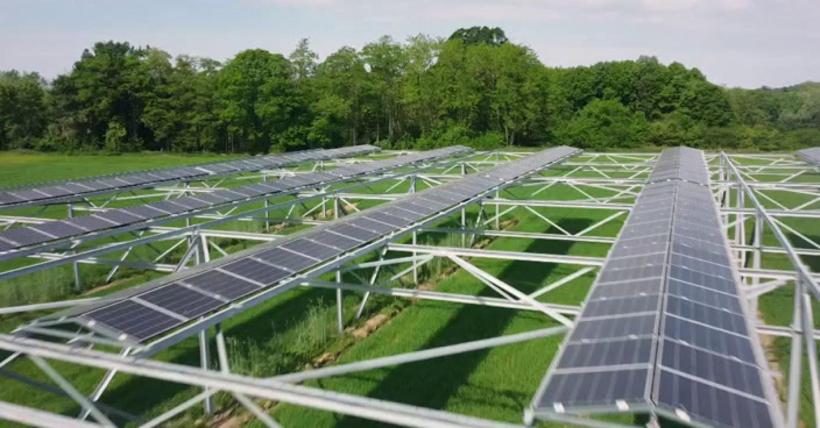 Universitaire boerderij TRANSfarm brengt onderzoek van labo naar ...
