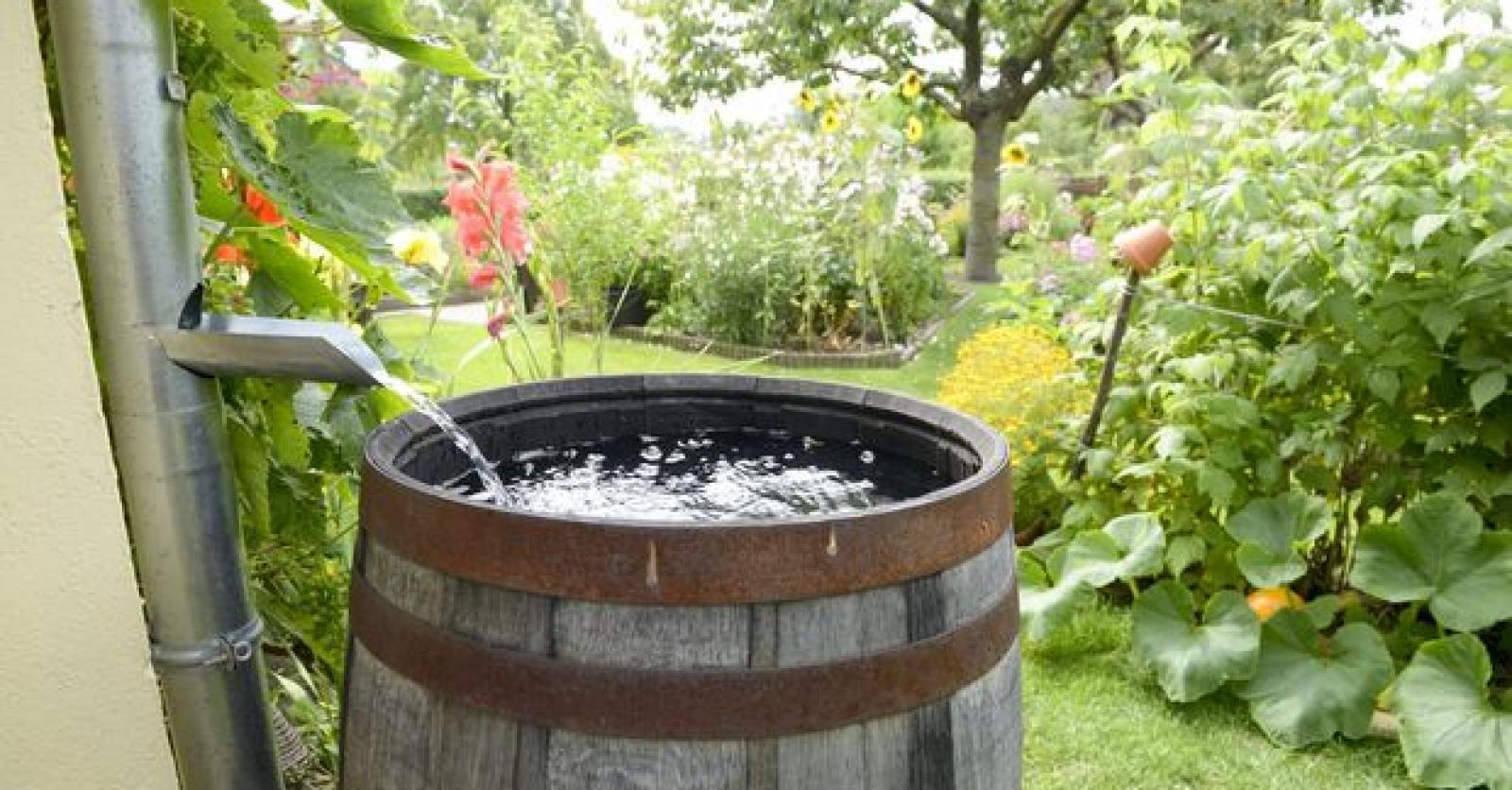 Hoe snel is je regenwaterinstallatie terugverdiend? - Trends