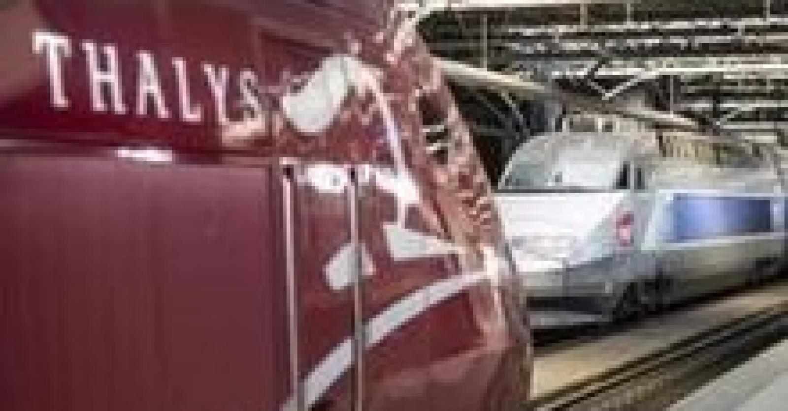 NS wil meer intercity's en Thalys-treinen inleggen naar België - Trends