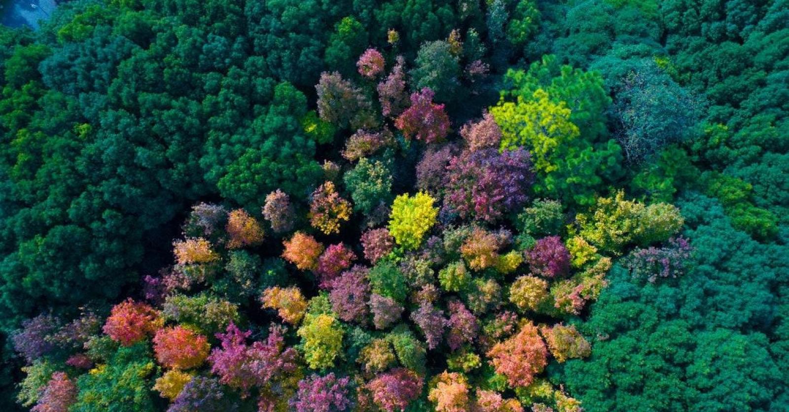 ESG doet duurzame groei versnellen - Trends