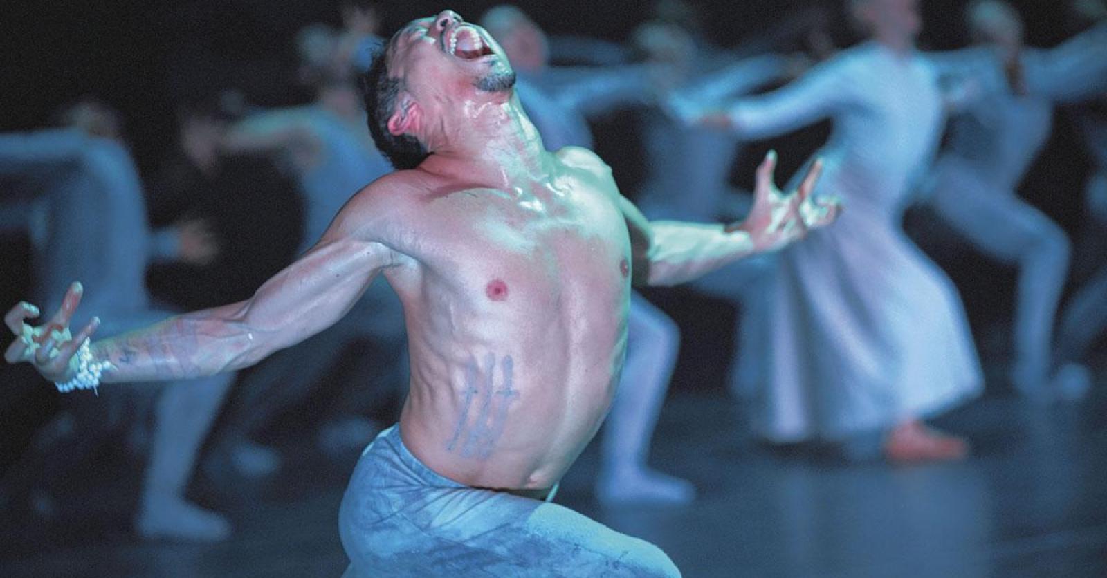 Theater Creature / Opera Ballet Vlaanderen, Antwerpen