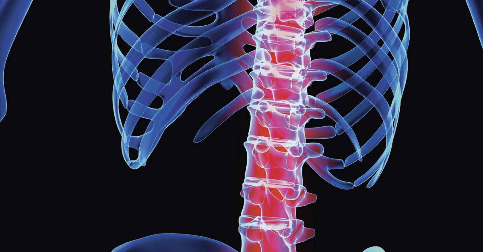Cellen bestrijden verlamming