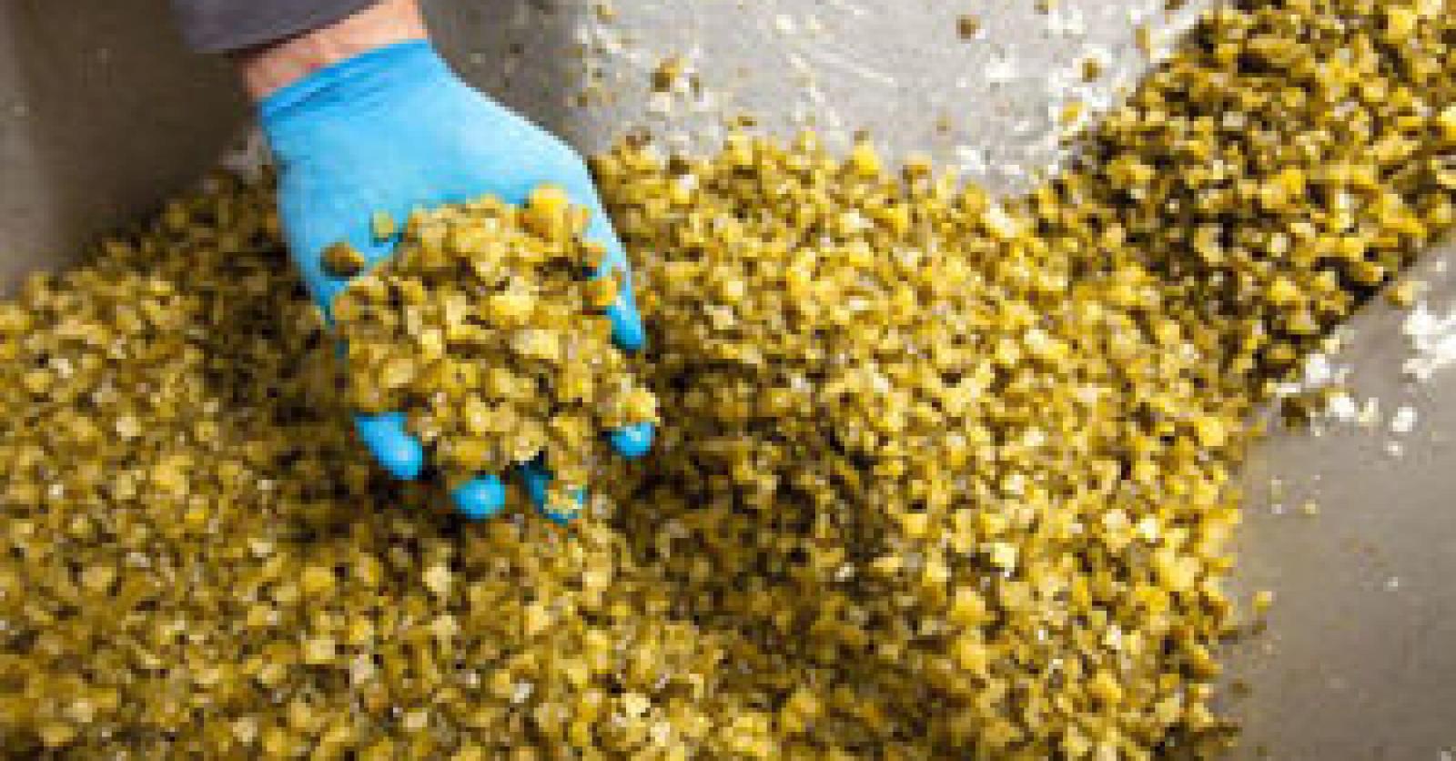 Hoe wordt picklessaus gemaakt? - Trends