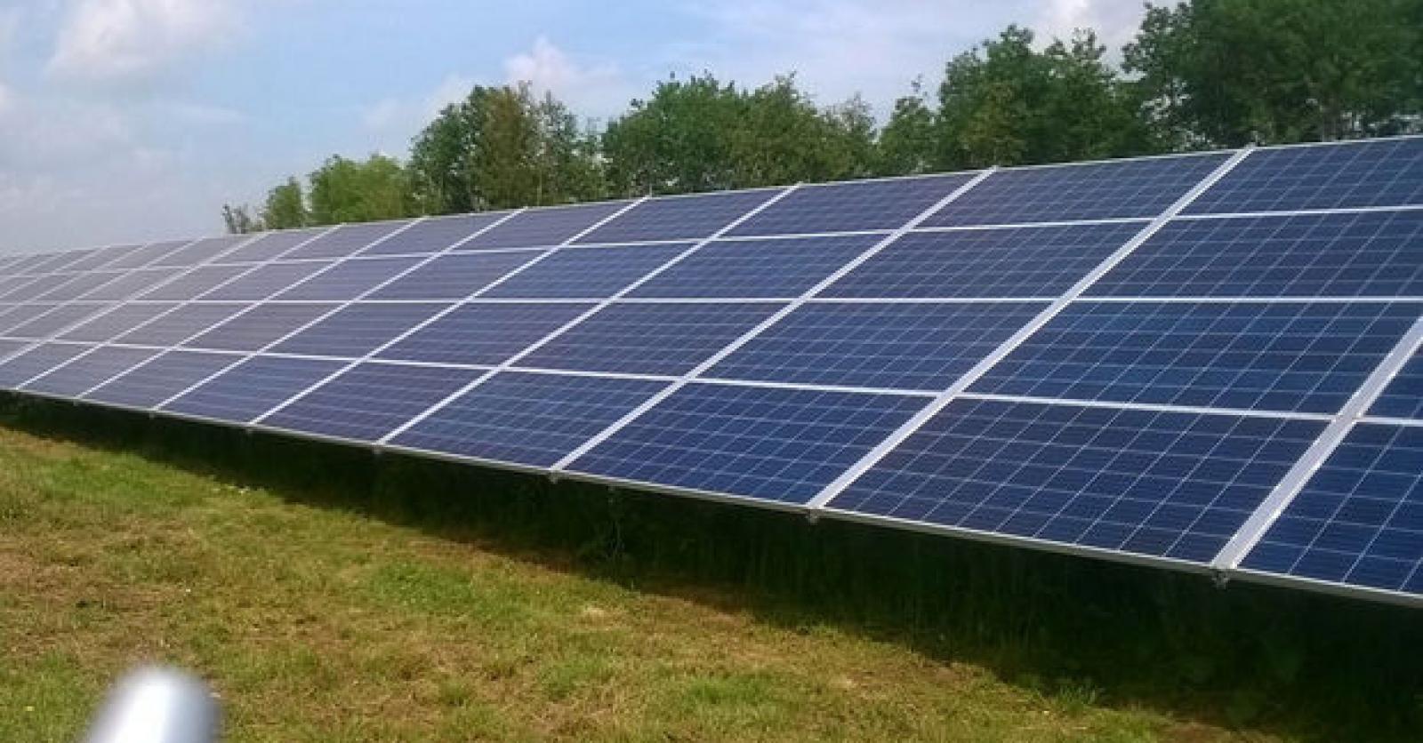 Le plus grand champ de panneaux photovoltaïques de Wallonie à Moha - Trends-Tendances