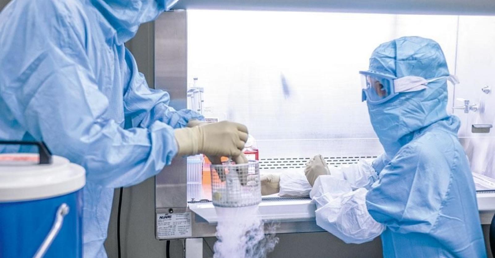 Des résultats "encourageants" pour la biotech wallonne Promethera ...