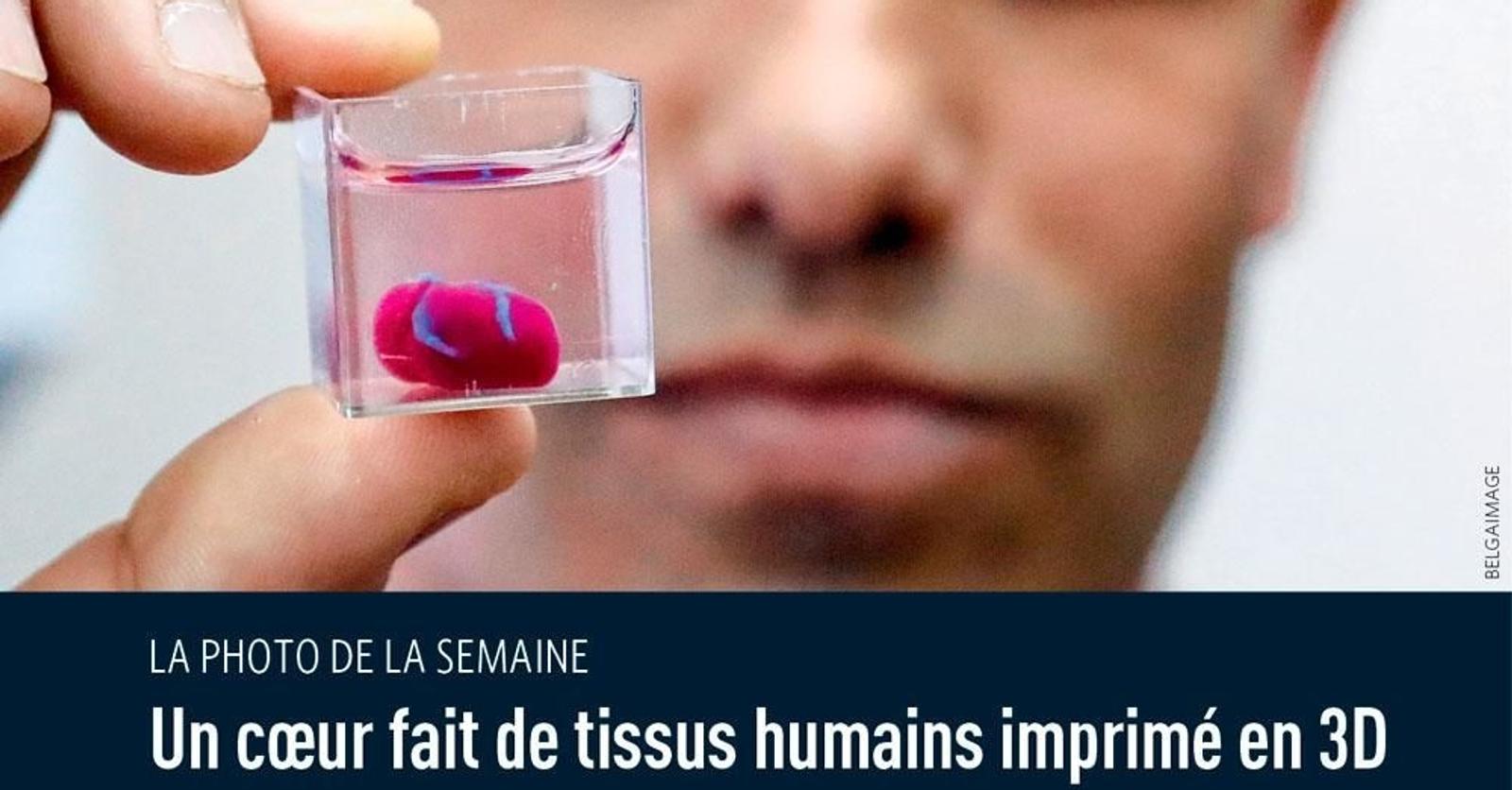 Un coeur fait de tissus humains imprimé en 3D - Trends-Tendances