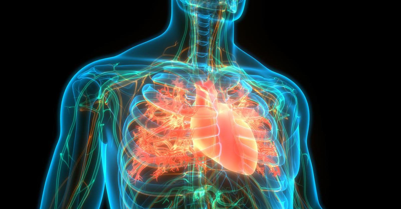 Hyloris candidat à une intégration en portefeuille - Trends-Tendances