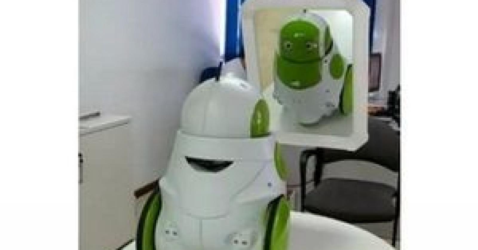 Le robot qui se reconnaît lui-même dans le miroir - Trends-Tendances