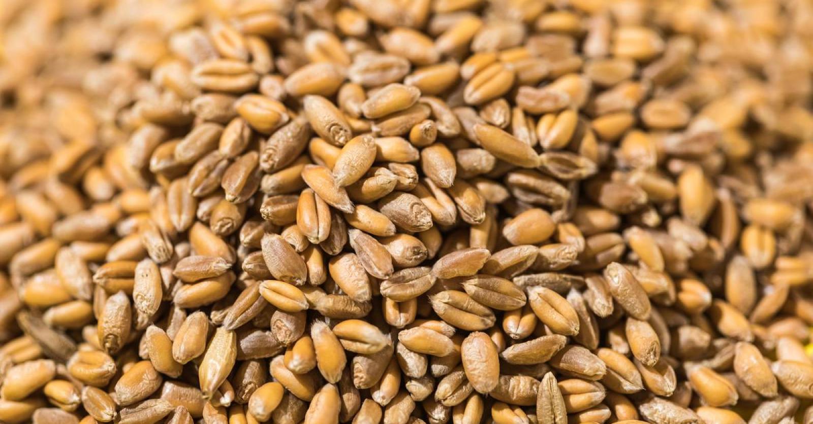 Aphea.Bio lève 70 millions d'euros