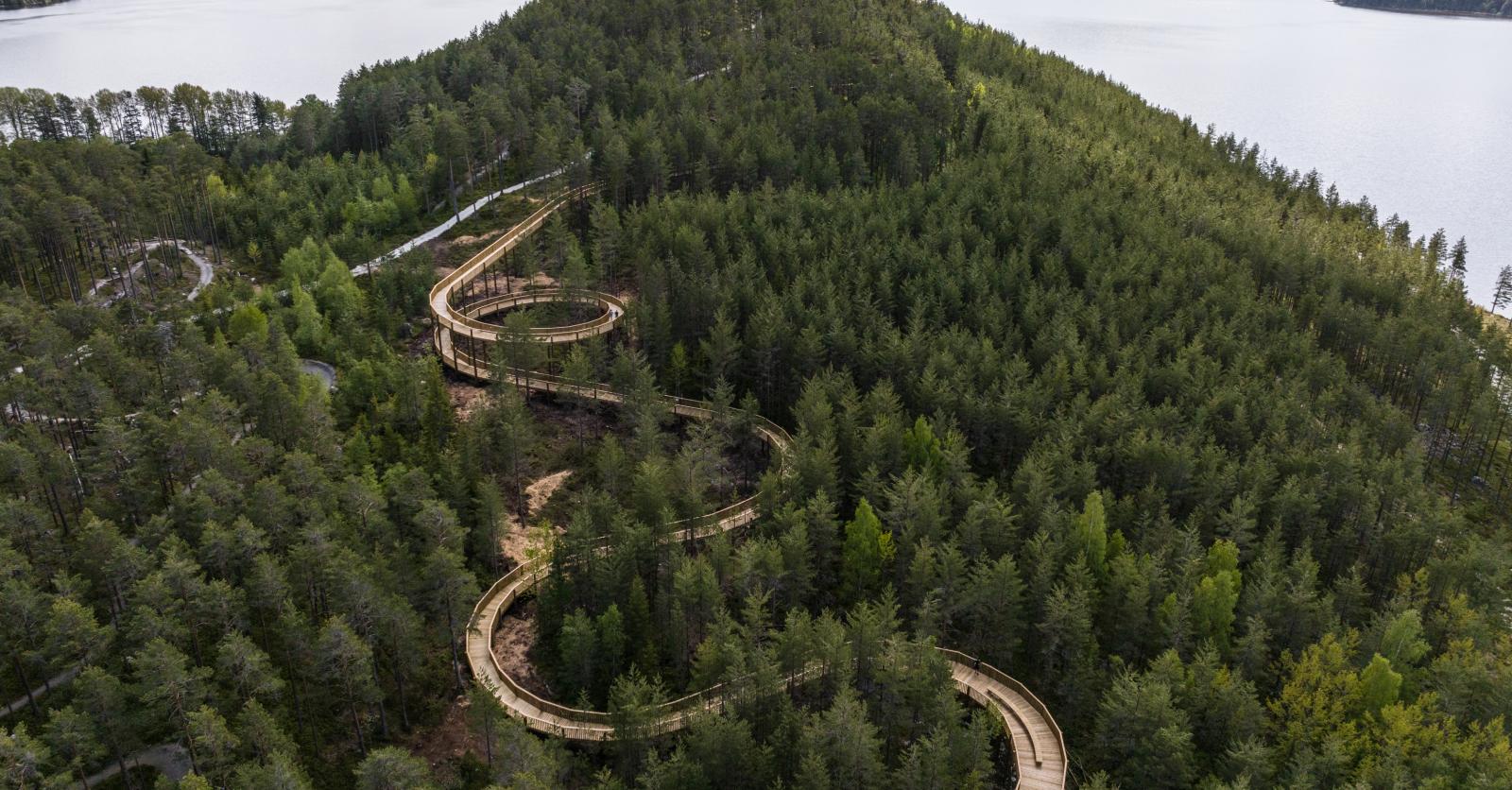 Wandelen tussen de bomen: boomkroonpad in Noorwegen biedt spectaculair ...