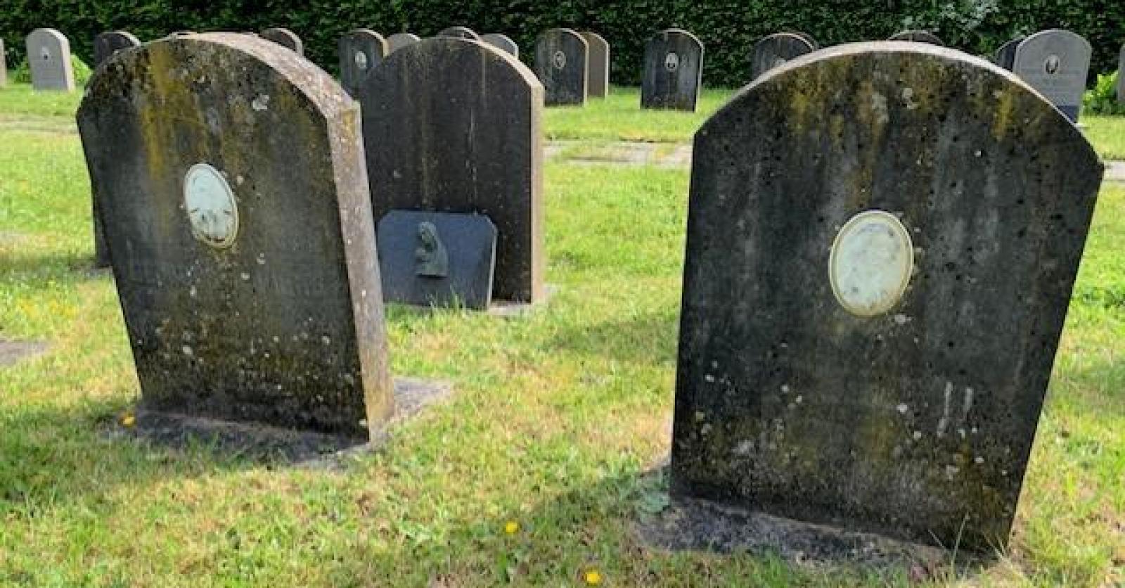 Gemeenteraadslid Pol Van Den Driessche (N-VA) kaart verloedering Brugse ...