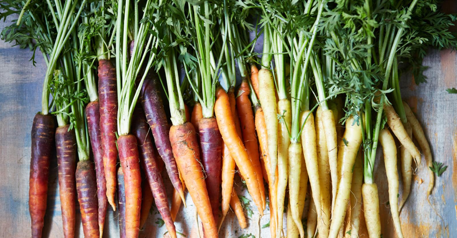 Gezondsheidswijsheid of hardnekkige mythe: "Van wortels krijg je goeie ...