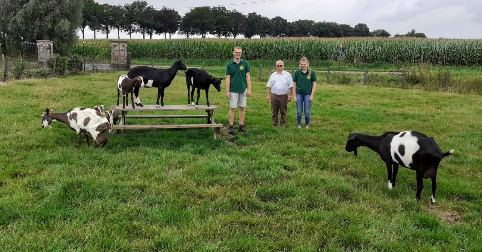 Vijfde interprovinciale geitenkeuring - KW.be