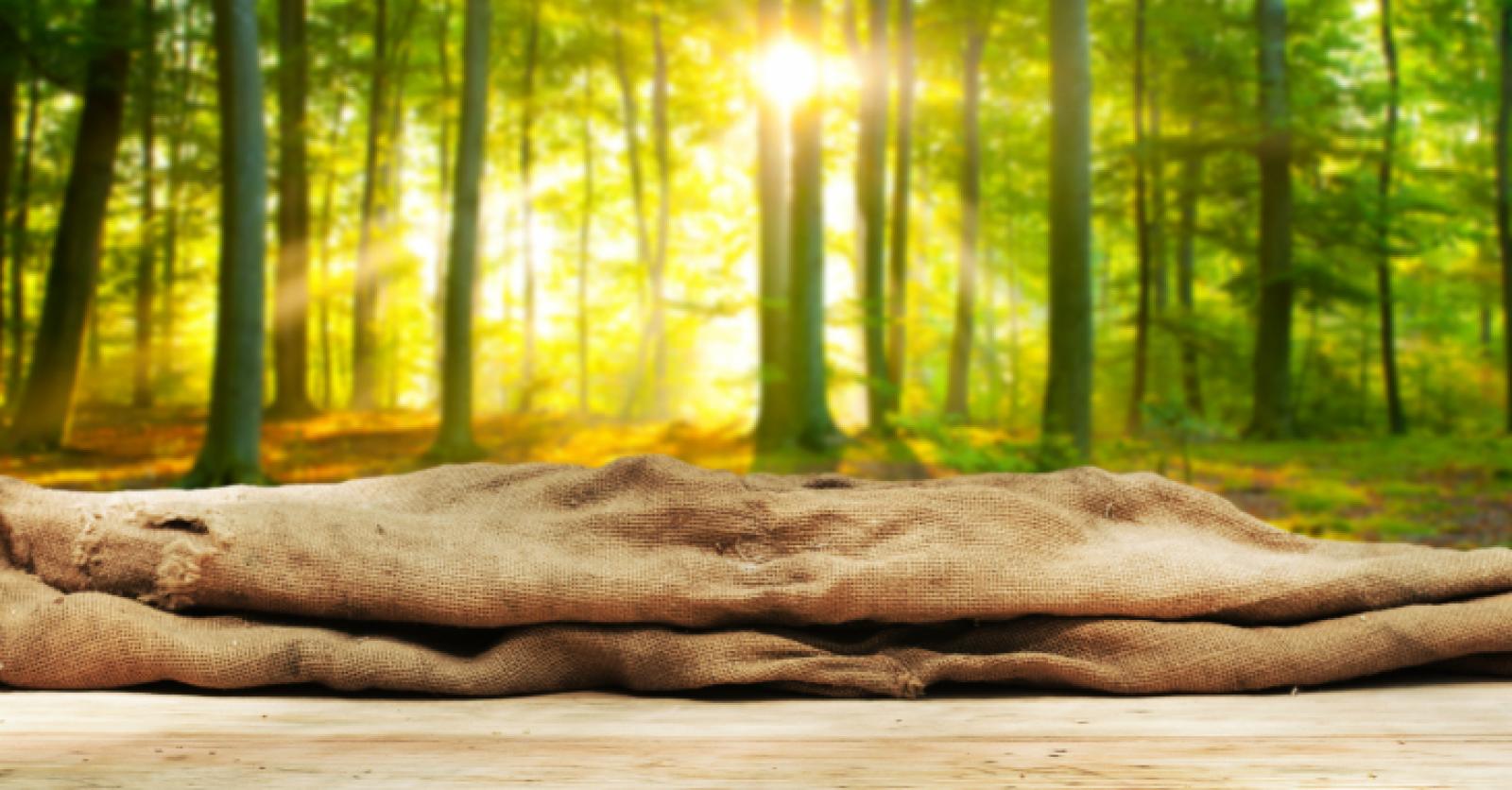 20 uitdagingen tijdens de Week van het Bos