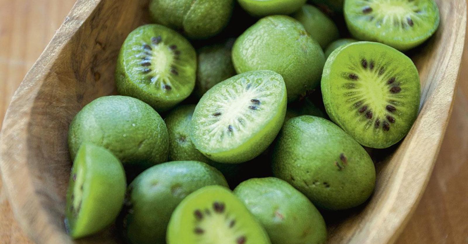 Vraiment trop kawai, le kiwai! - Plus Magazine