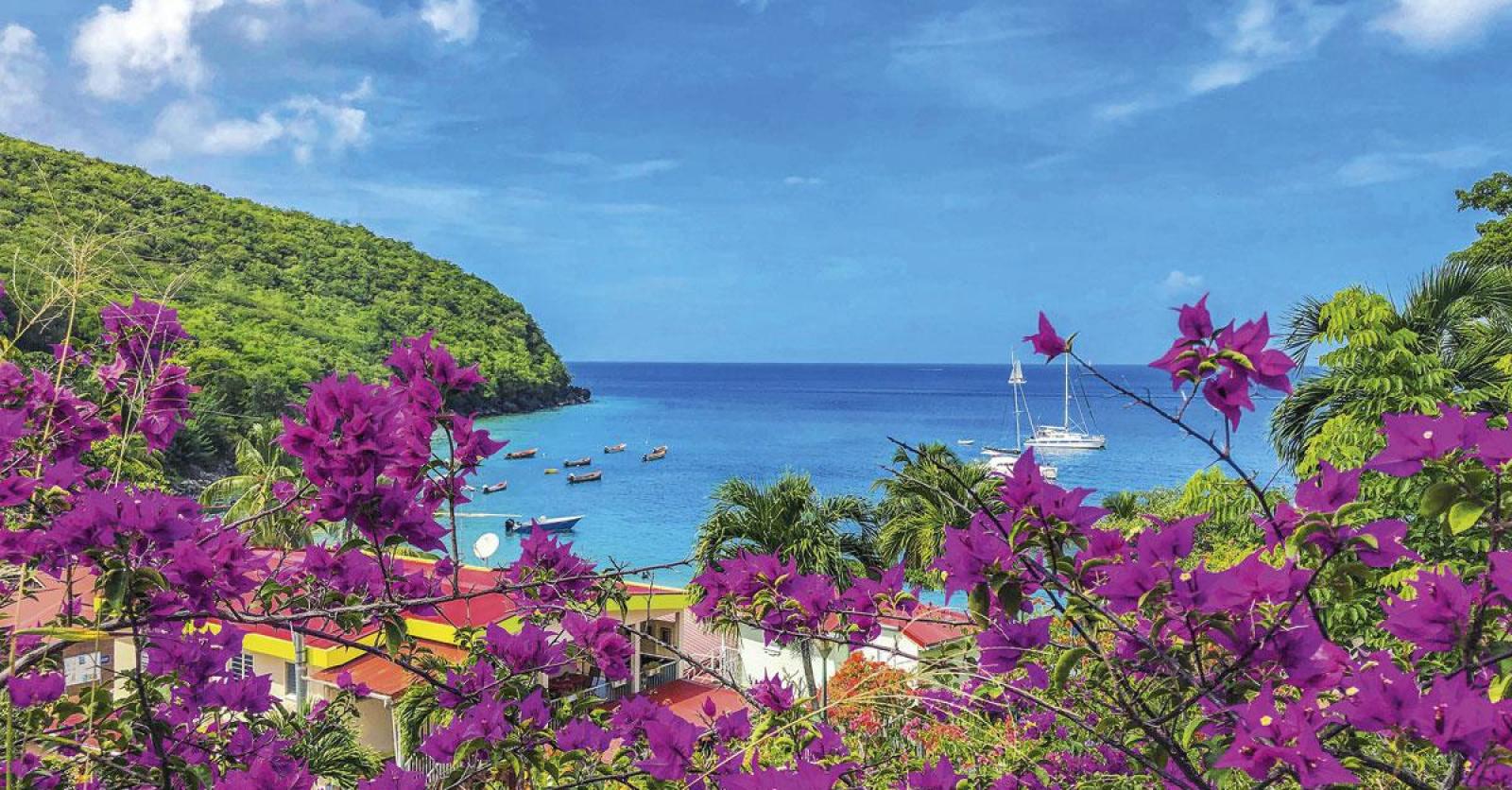 Magnifiek Martinique - Plus Magazine