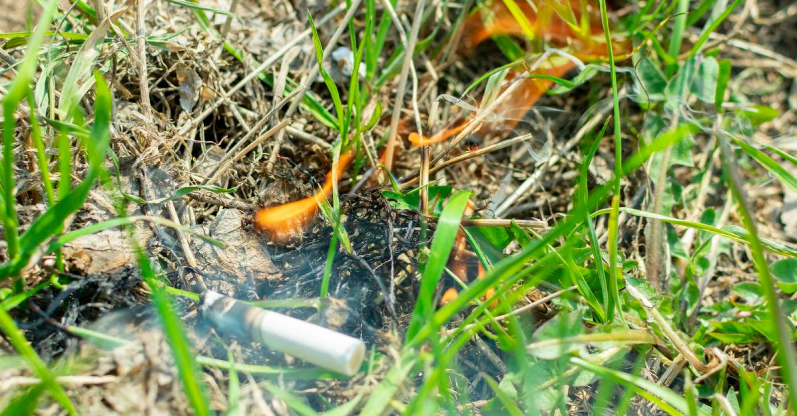 Algemeen en permanent rook- en vuurverbod in Vlaamse bos- en ...