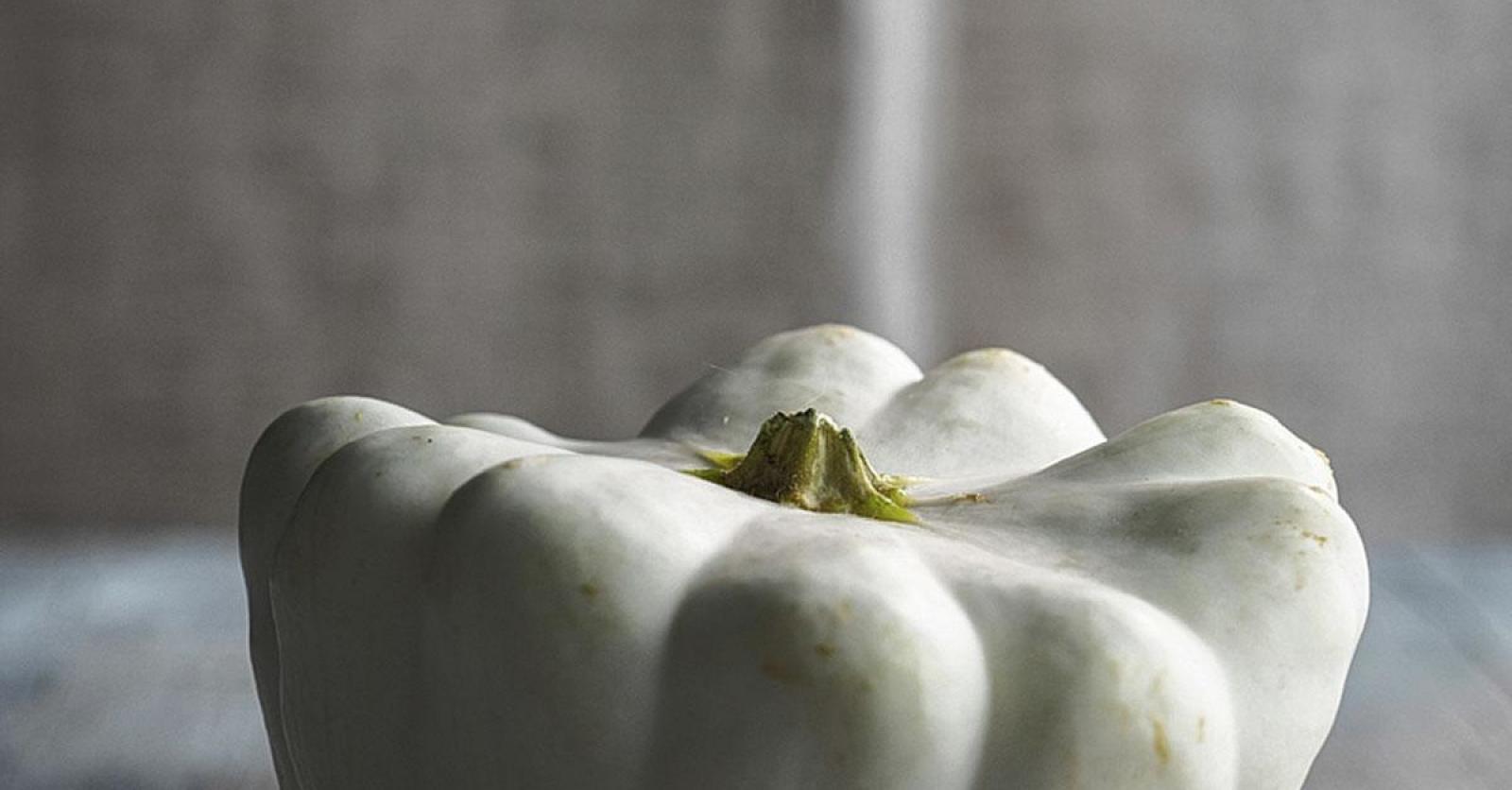 Patisson - Plus Magazine