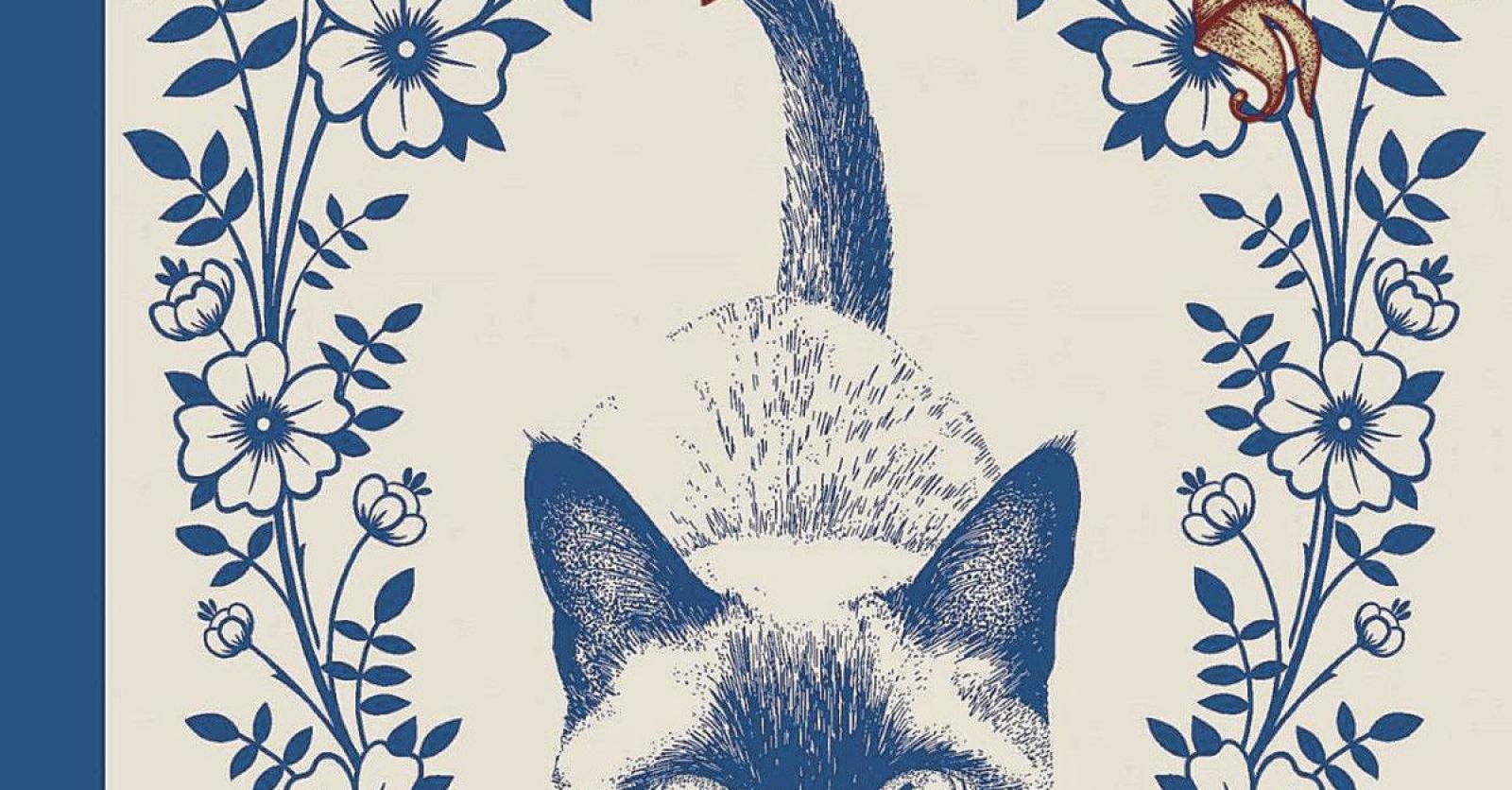 Samenleven met een kat - Plus Magazine