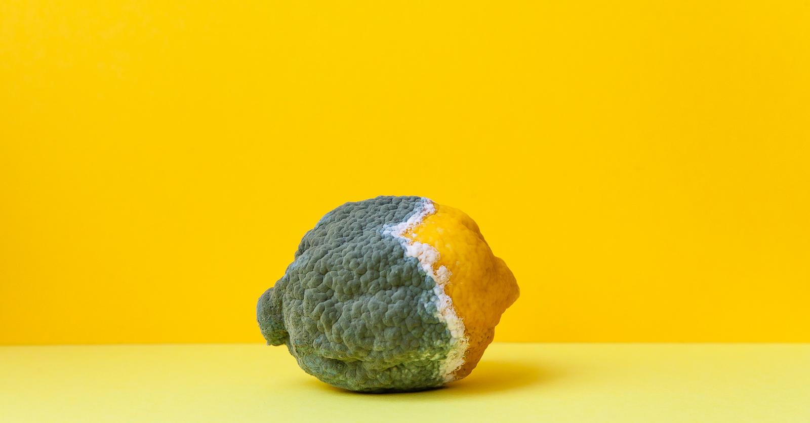 Peut-on manger des aliments moisis? - Plus Magazine