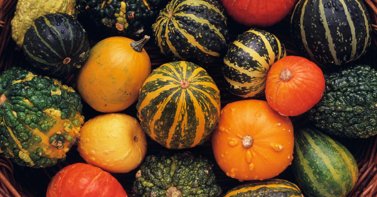 Les courges, reines d'automne: 6 variétés à découvrir - Plus Magazine