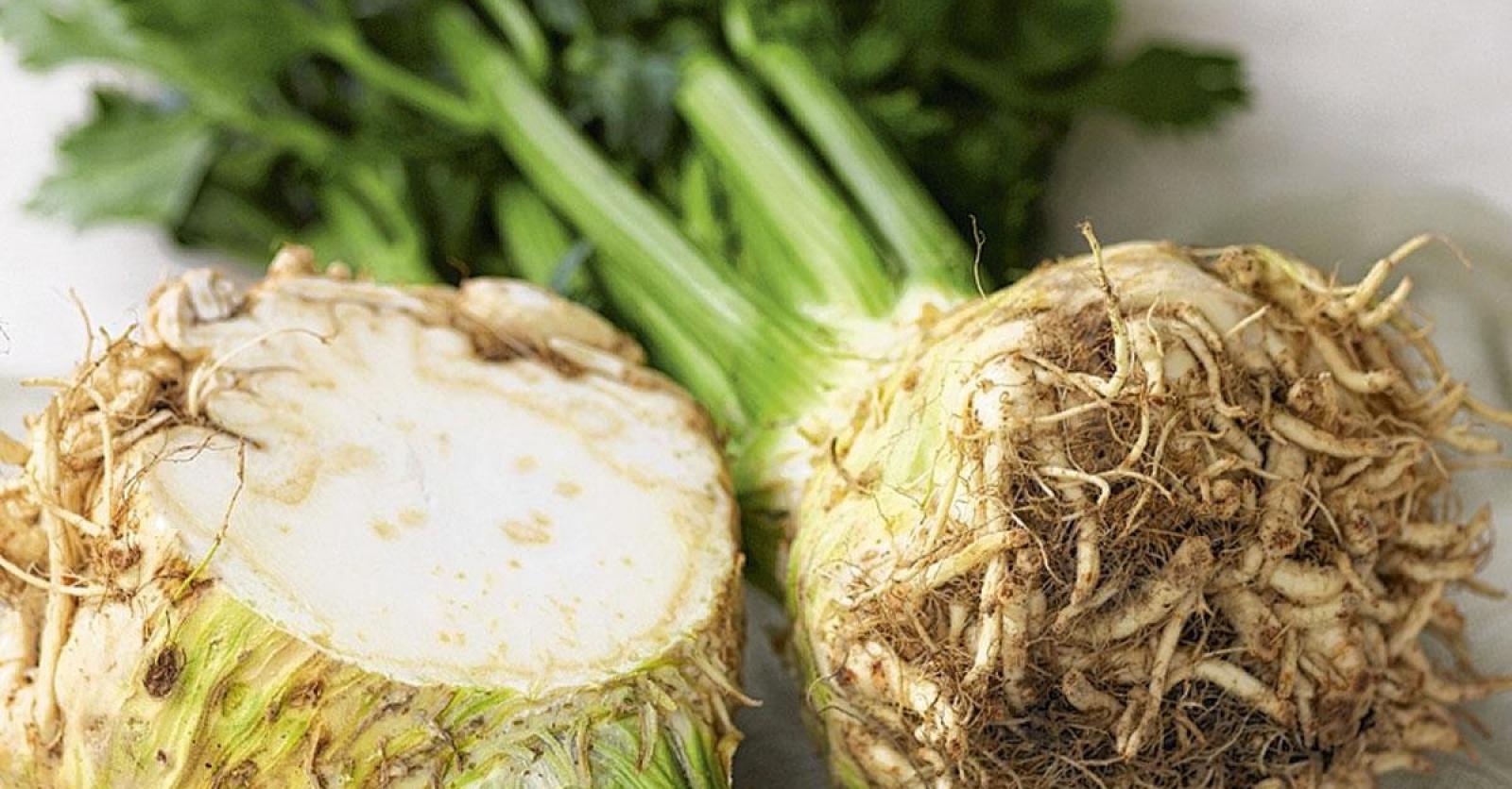 Le céleri - Plus Magazine