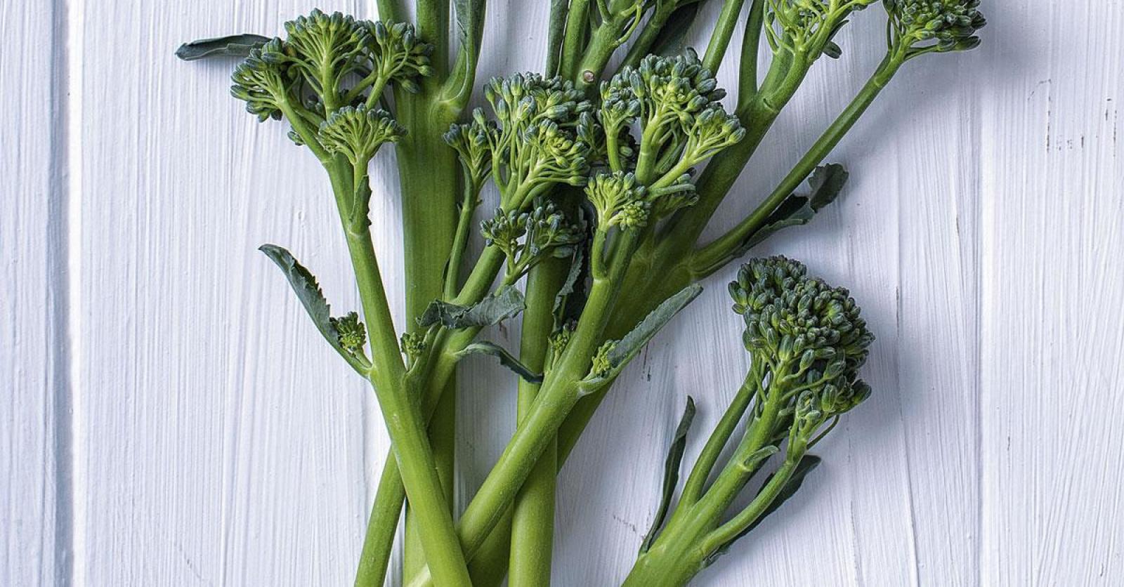 Le broccolini - Plus Magazine